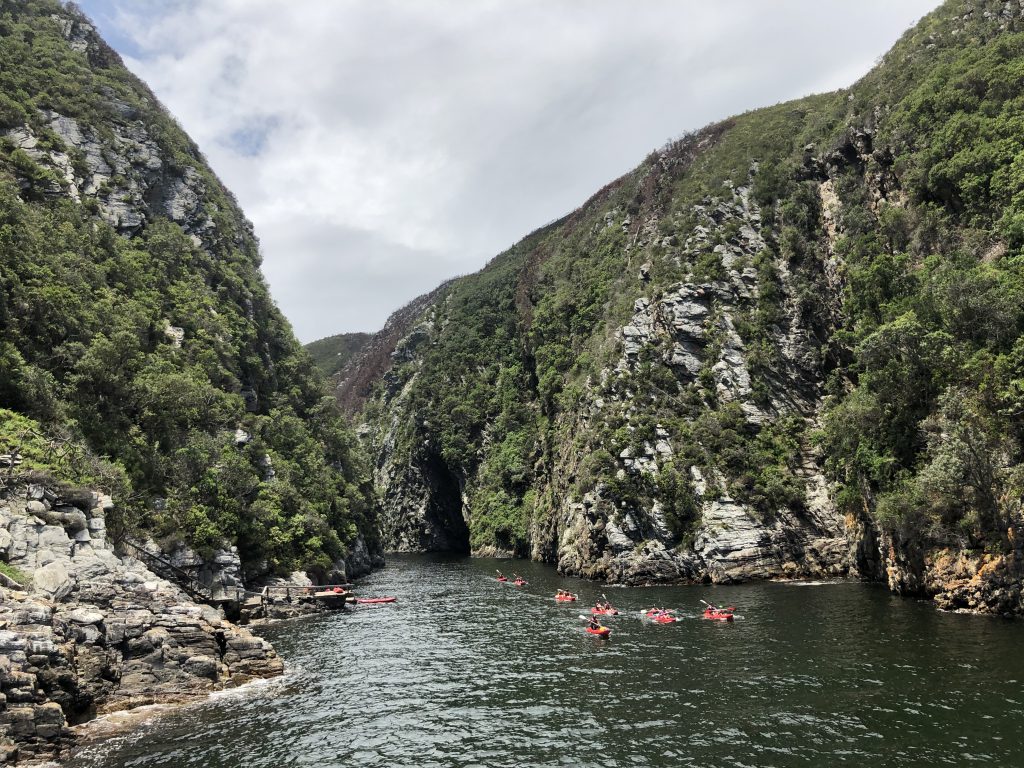 Is Baz Bus the Best Way to See South Africa's Garden Route? | The ...