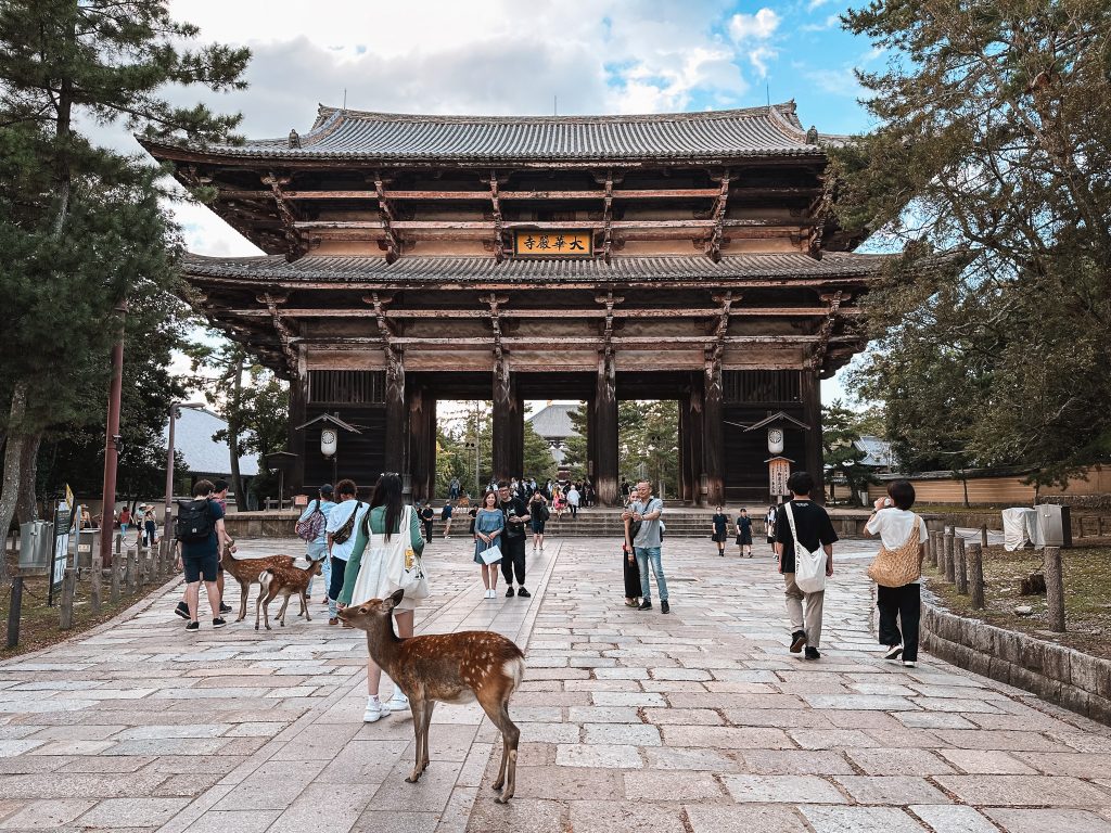 Guide to Visiting the Bowing Deer of Nara | Japan | The Partying Traveler