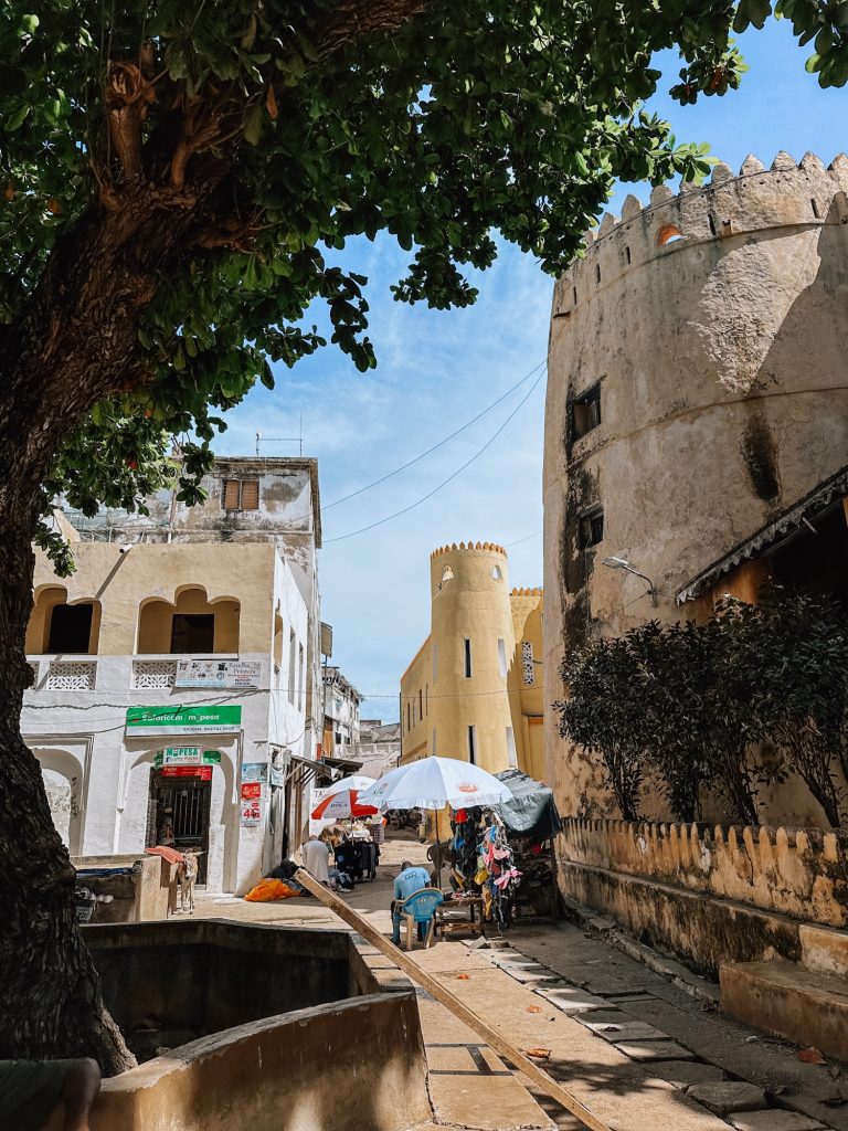 The Backpacker's Travel Guide to Lamu Island | Kenya - The Partying ...