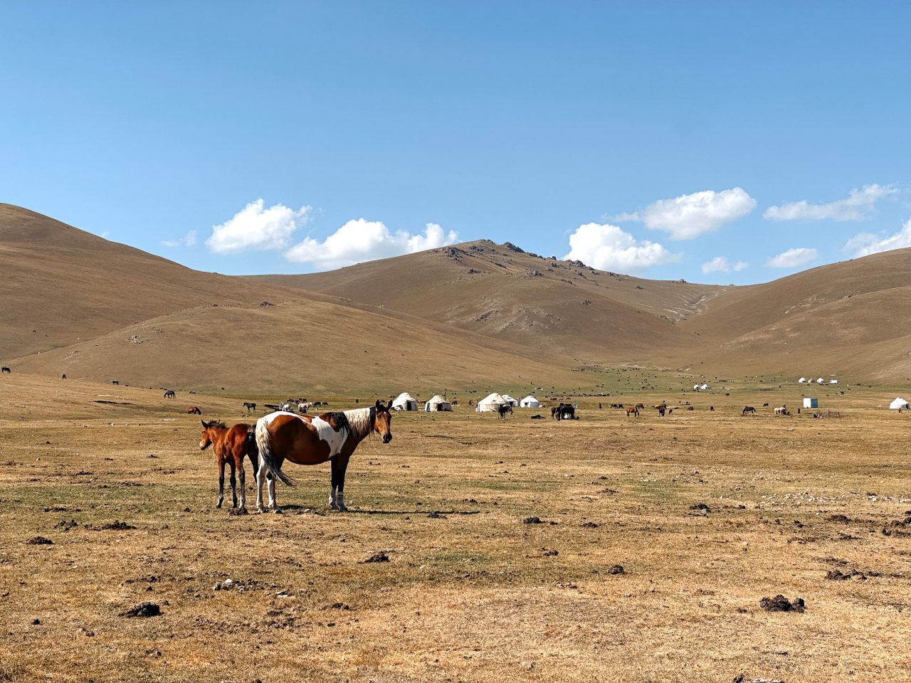 Three Days on Horseback to Song Kul Lake | Kyrgyzstan - The Partying ...